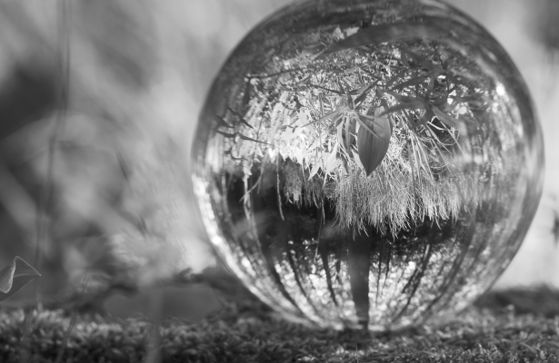 Elevate Customer Communications | Elixir Cloud Solutions